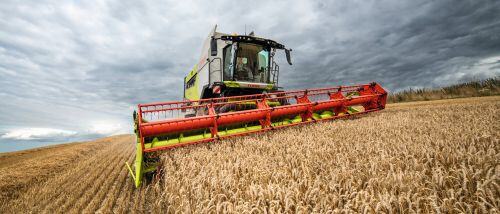 IFM Limited review of Intact iQ